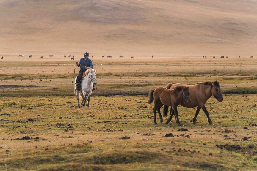 nomade mongolo al pascolo - Viaggio solo andata